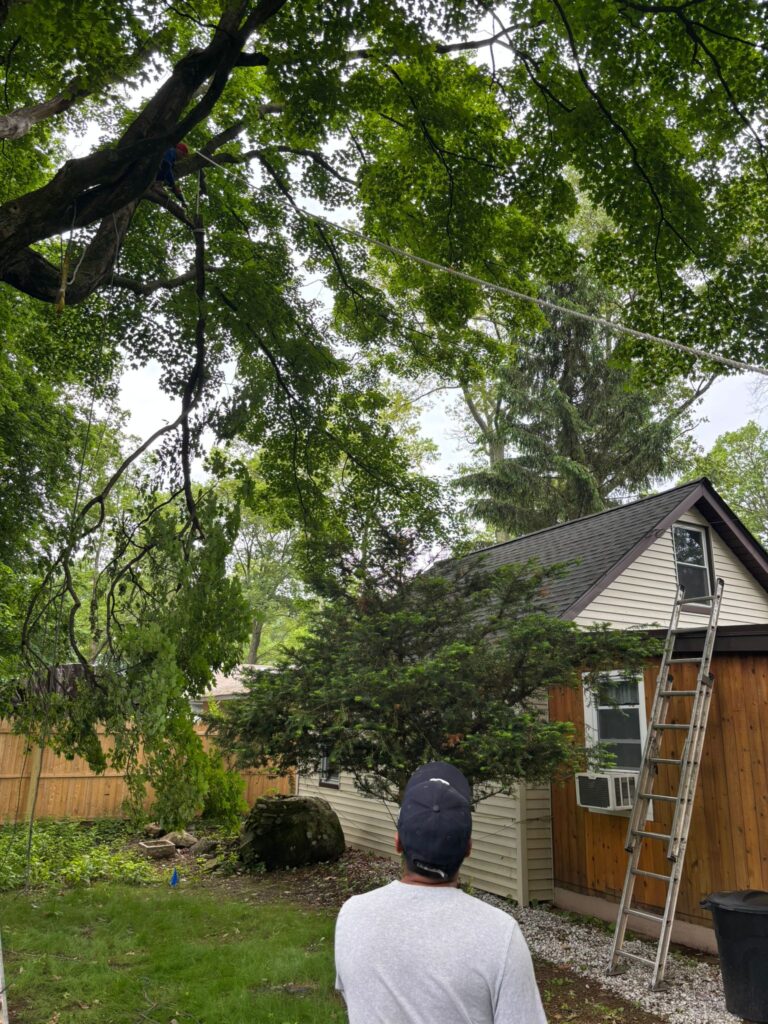 Roof Inspection – AGUALEMA CONSTRUCTION LLC